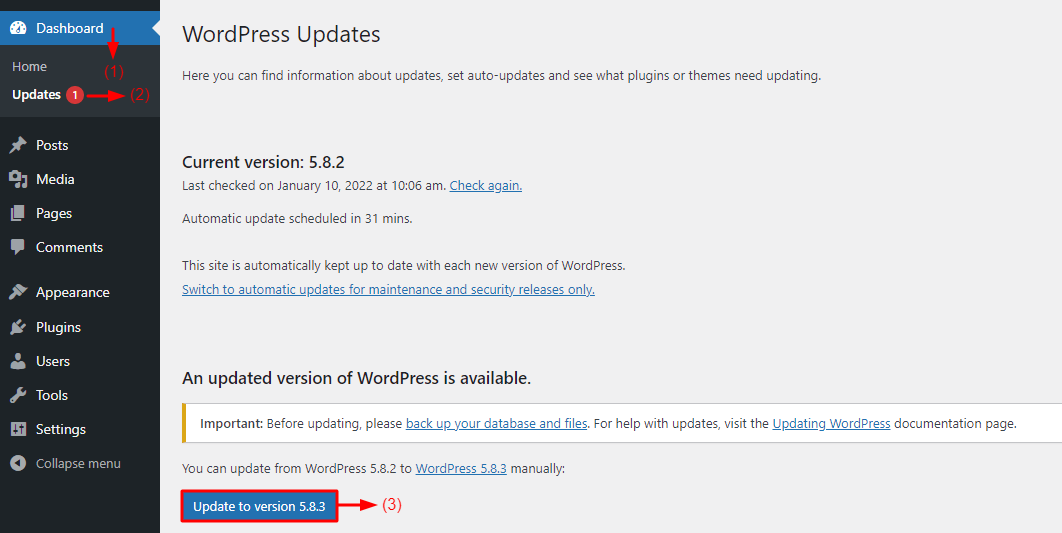 How To Fix WordPress Block Editor Not Working Guide Tips